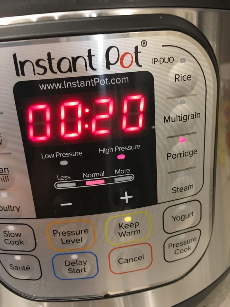 Instant Pot Rice Pudding With Sweetened Condensed Milk
