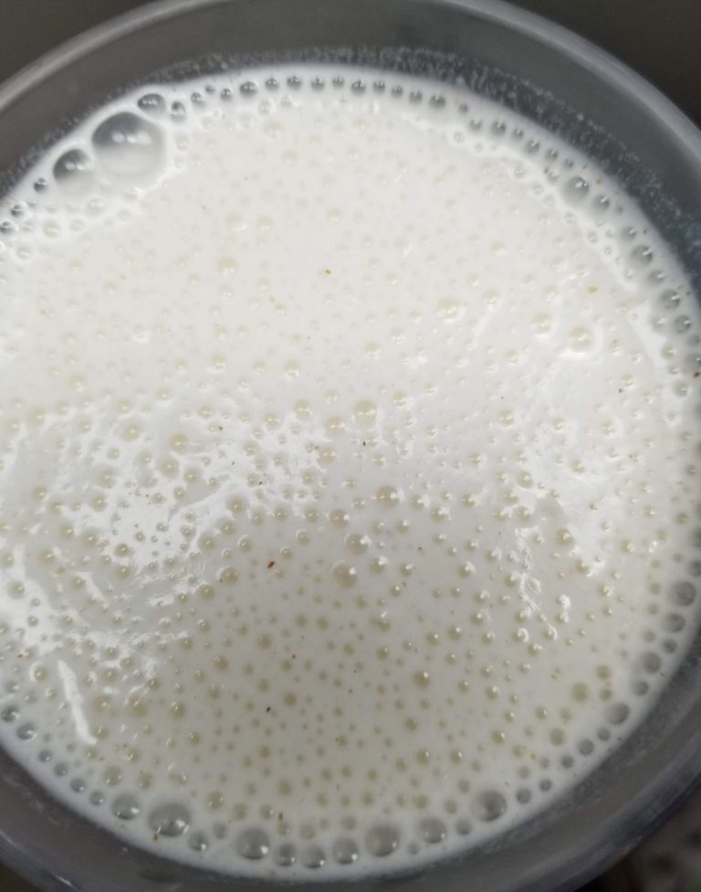 Maple Walnut Protein Milkshake Without Protein Powder