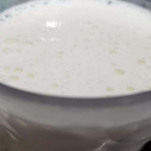 Maple Walnut Protein Milkshake Without Protein Powder