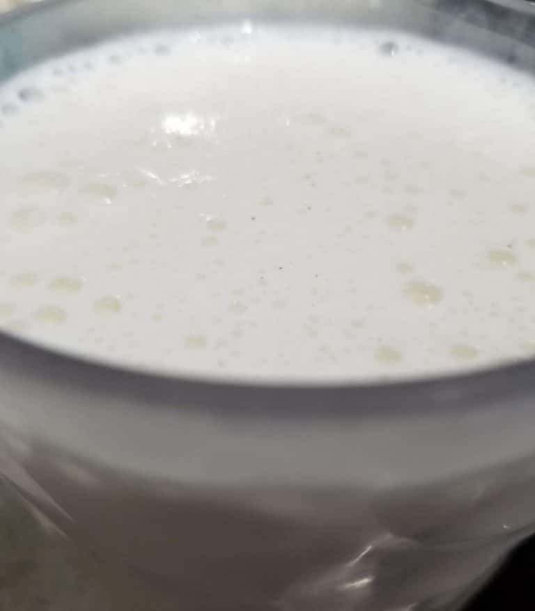 Maple Walnut Protein Milkshake Without Protein Powder