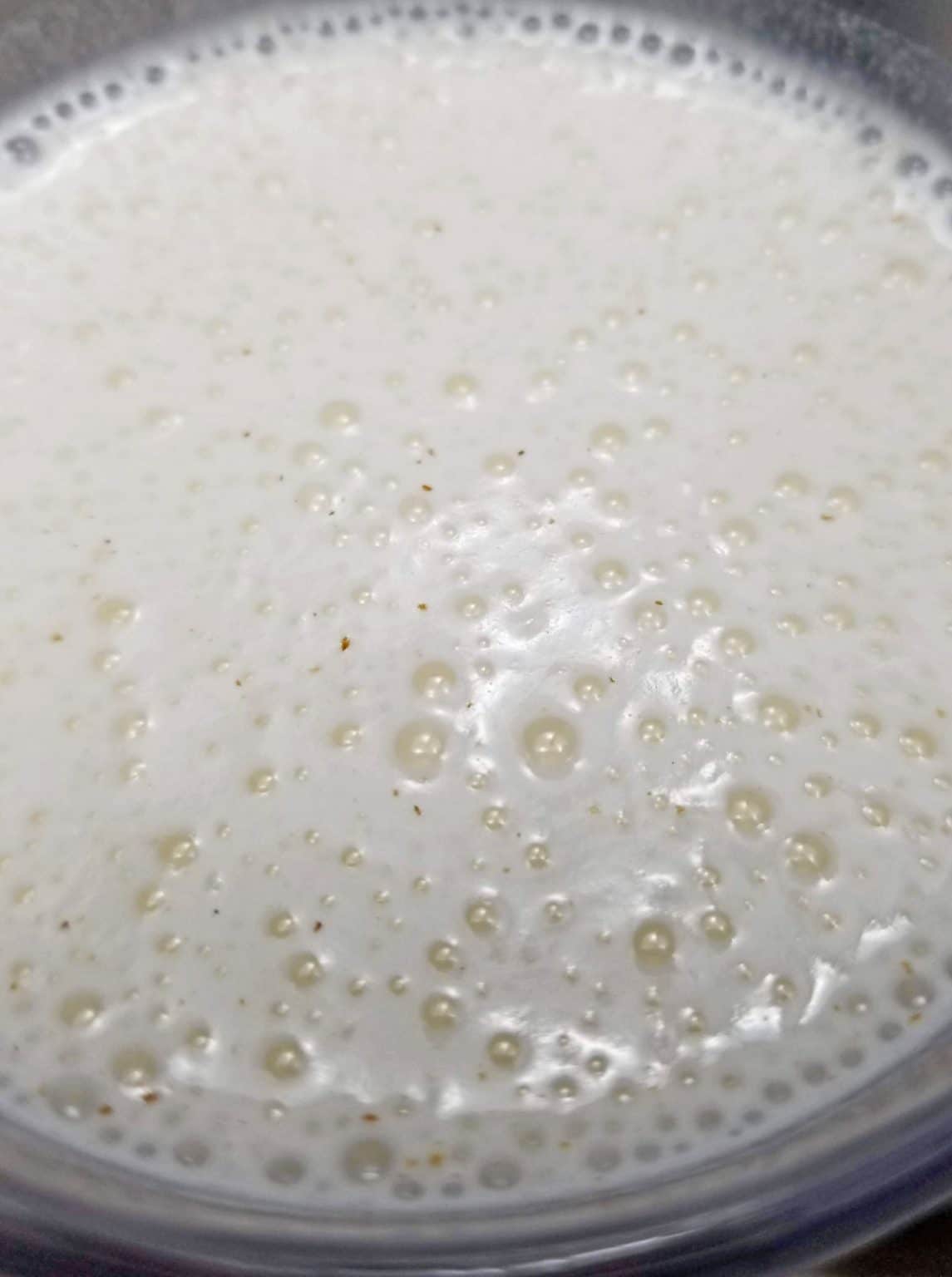 Maple Walnut Protein Milkshake Without Protein Powder