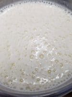 Maple Walnut Protein Milkshake Without Protein Powder
