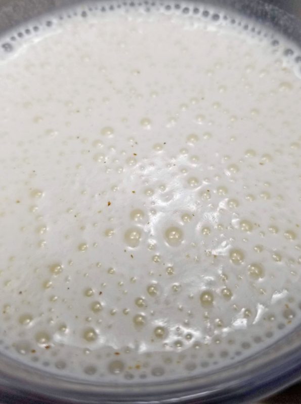 Maple Walnut Protein Milkshake Without Protein Powder