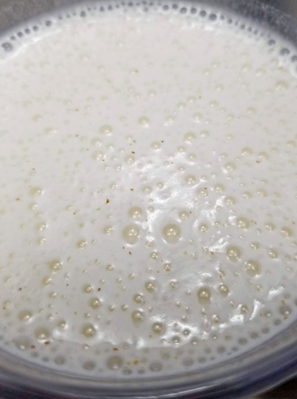 Maple Walnut Protein Milkshake Without Protein Powder