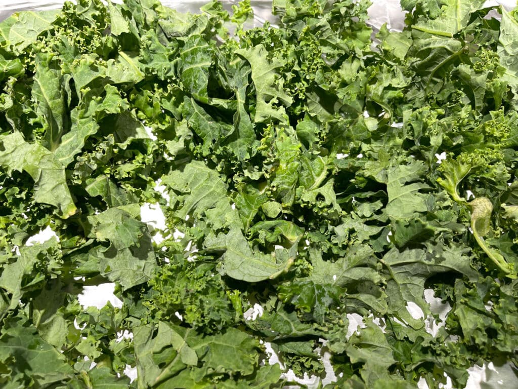 Oven Roasted Kale At 350 - Baked Curly Kale Chips