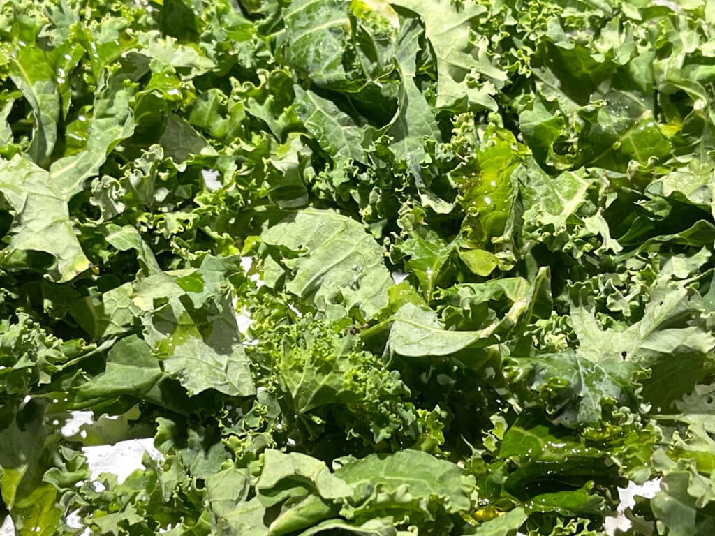 Oven Roasted Kale At 350 - Baked Curly Kale Chips